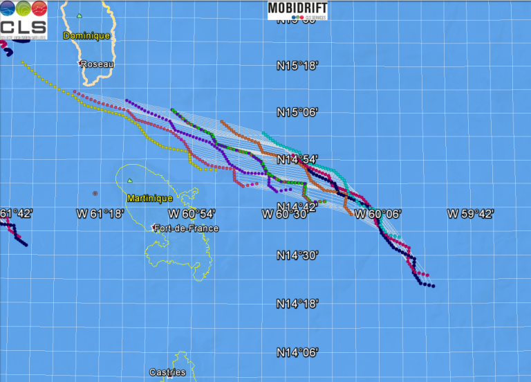 Tracking of Sargassum by CLS - CLS Maritime Surveillance